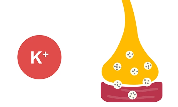 Internship survival course: How to replete potassium | Medmastery
