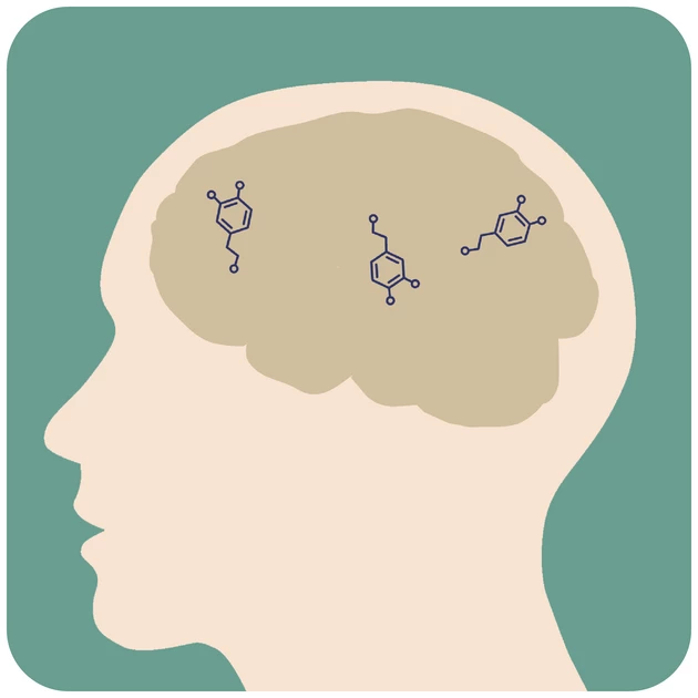 Dopamine replacement in Parkinson's disease: initial therapy | Medmastery
