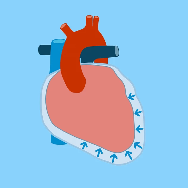 Cardiac tamponade course with Emmy Award-winning teacher Dr Lorre ...