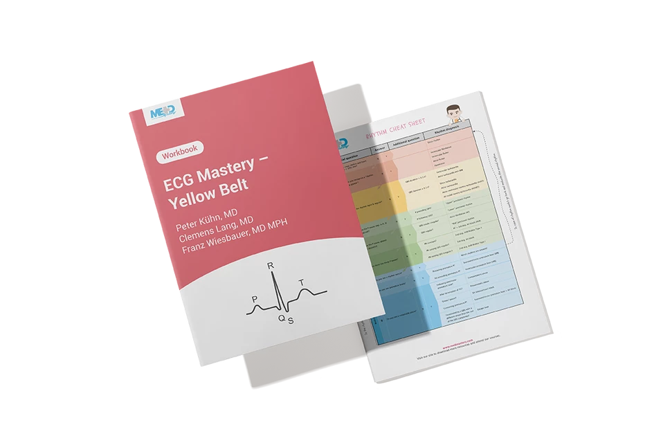 ECG Mastery Resources Downloads | Medmastery
