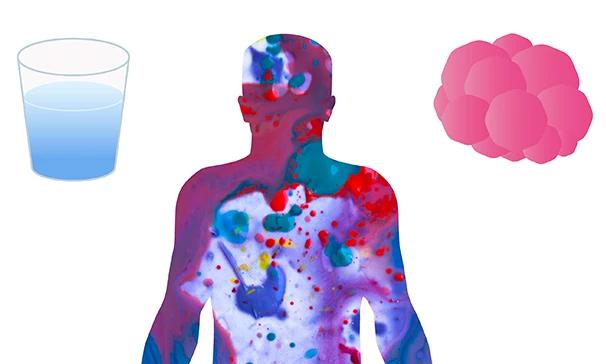 Identifying body fluid compartments | Medmastery