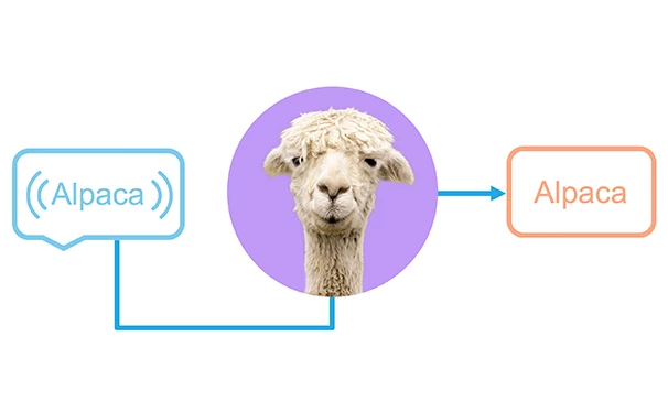 How the Redundancy Principle inhibits learning | Medmastery
