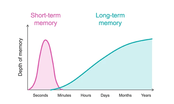 How to use retrieval practice in medical education | Medmastery