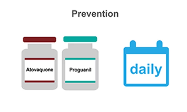 Preventing malaria | Medmastery