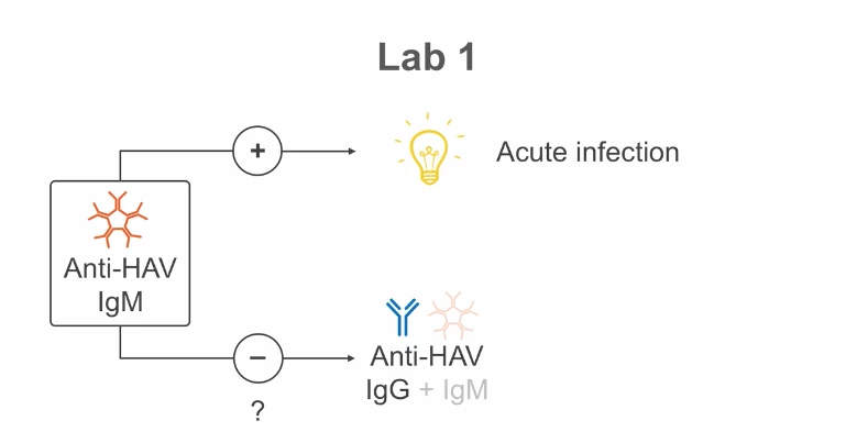 Important lab markers in HAV infection | Medmastery