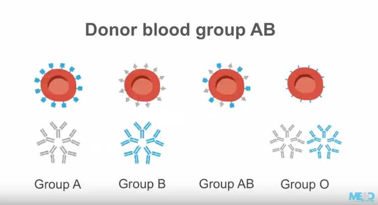Mastering red blood cell compatibility | Medmastery